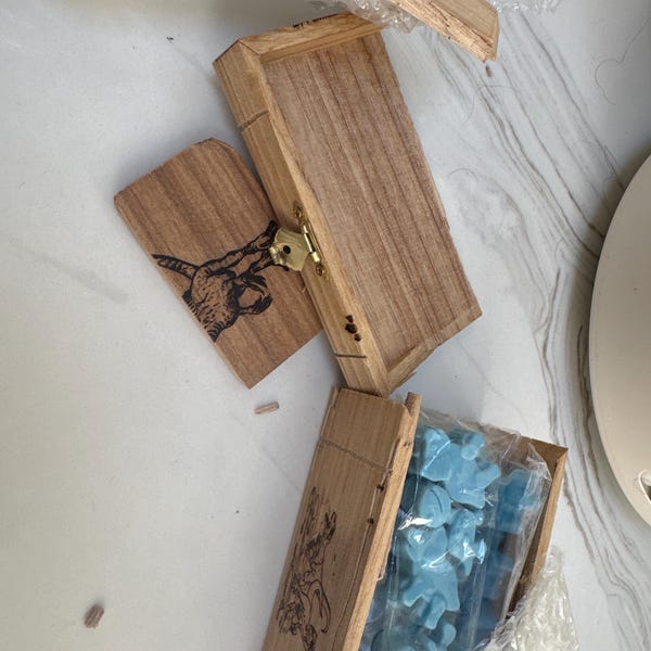 Large Dinosaur Box - Etsy