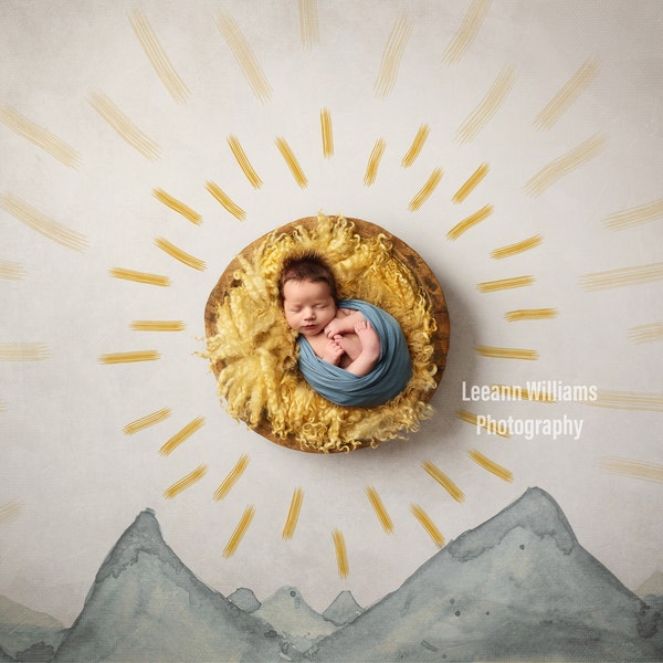 Digital Background Digital Backdrop IVF Backdrop Composite Backdrop ...