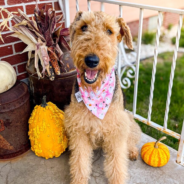 Dog Bandana Holder, Pet Bandana Organizer, Dog Clothing Organizer, Dog ...
