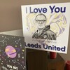 LUFC Sticker Pack - Etsy UK