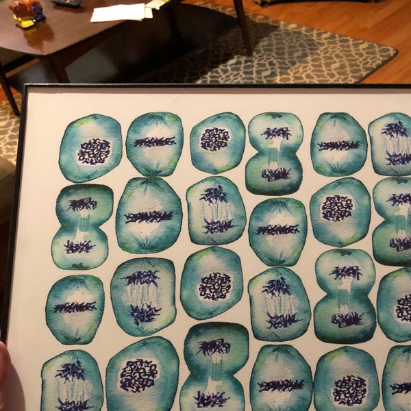 Mitosis, Watercolor Print, Science, Mitosis, Biology Art, Science Print ...