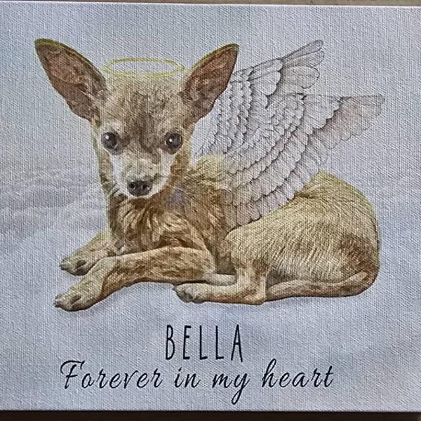 Custom Memorial Pet Drawing, Pet Portrait From Photo, Painting ...