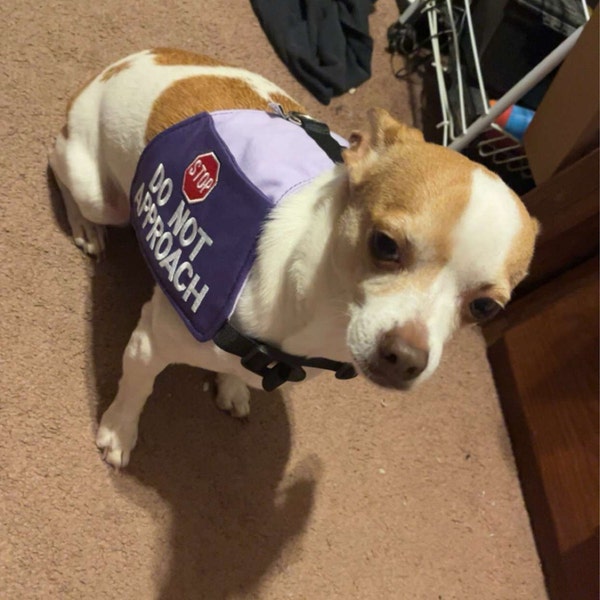 Vest (select Your Size), STOP Do Not Approach, Light Weight Sd Style ...