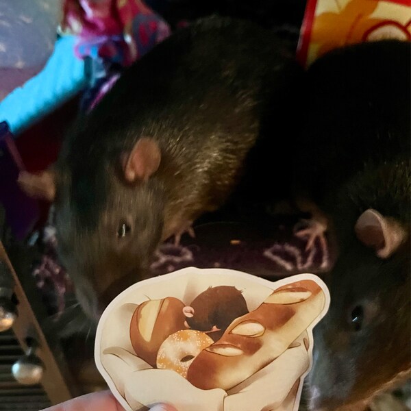 Little Rat and Opossum Charm PDF Crochet Pattern, Opossum, Rat ...