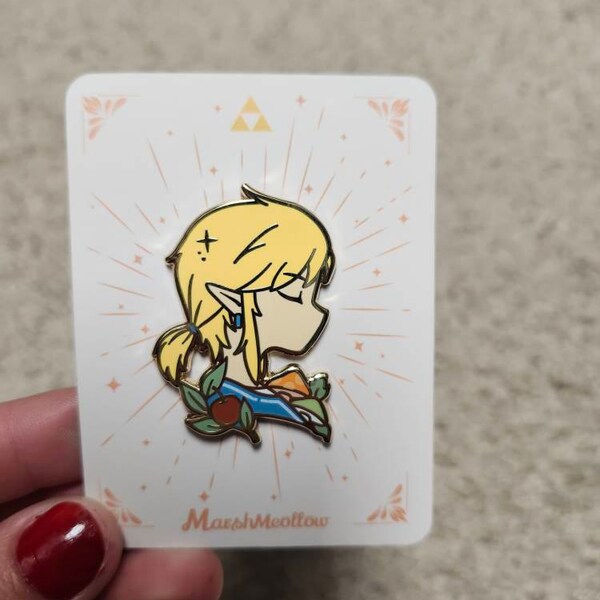 Botw Link & Zelda Hard Enamel Pin - Loz Pins - Pin Collection - Etsy