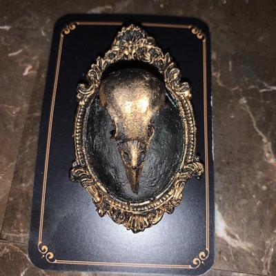 Bronze Raven Skull Brooch, Bird Skull Cameo , Faux Taxidermy, Gothic ...