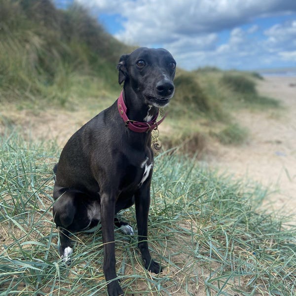 Nordic Viking Dog Tag, Norse Viking Runes Keyring, Tribal Celtic Aztec ...