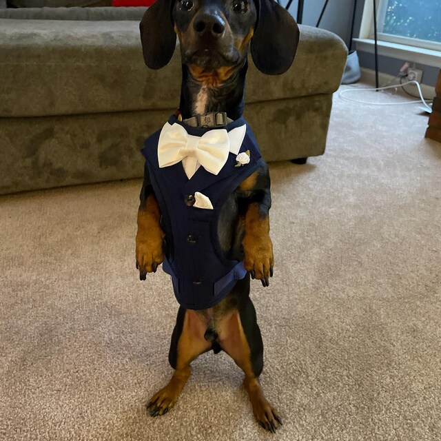 MuttsandMarriage - Etsy