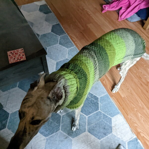 Greyhound Snood 2-TONE Med-lrg Dog Winter. Galgo, Whippet. Made to ...