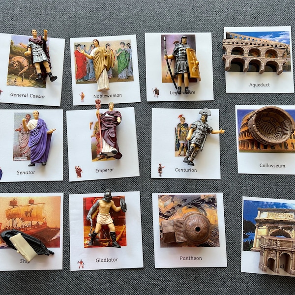 Montessori Sea Turtle Life Cycle 5 Parts Cards With Miniatures - Etsy