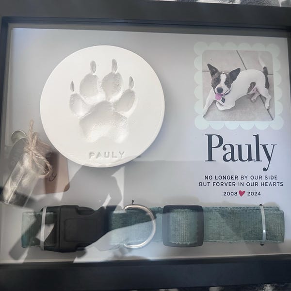 Paw Print Holder Pet Memorial, Clay Paw Print Display Shadow Box, Pet ...