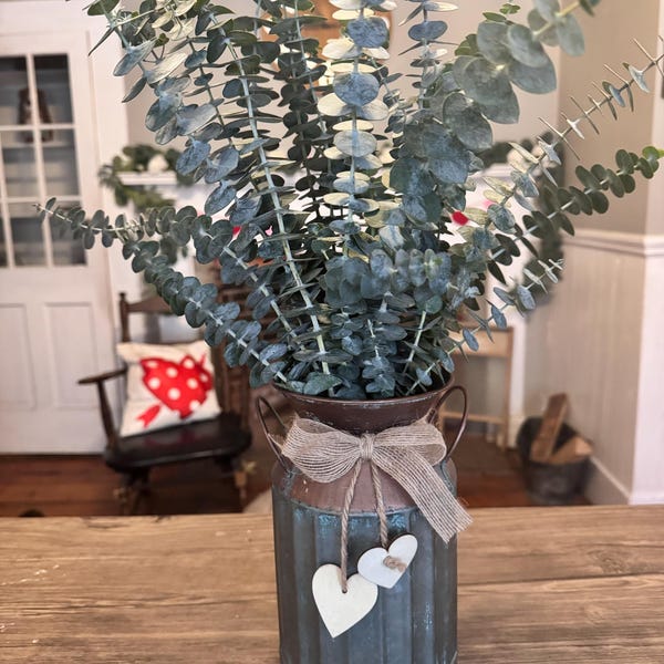 Fresh Eucalyptus Shower Bundle, Eucalyptus Shower Bundle, Indoor ...