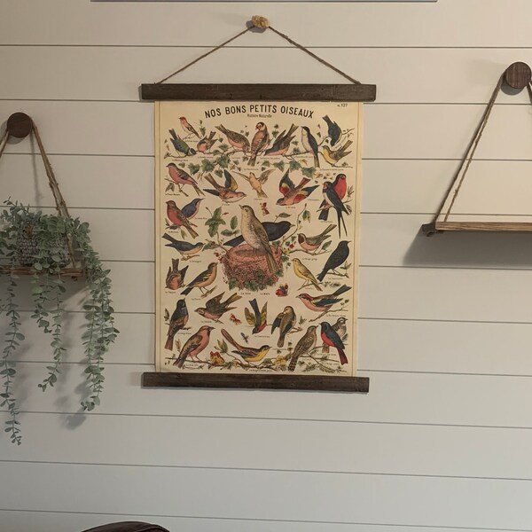 Bird Poster | Bird Art | Bird Print | Bird Wall Art | Birding | Bird ...