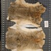 Luxury Real Rabbit Fur Plate 120cmx60cm Tanned for Throws, Blankets ...
