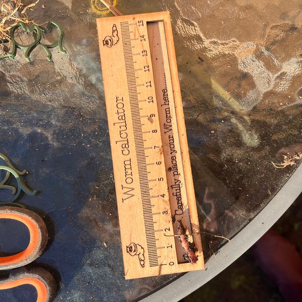 Portable Insect Bug Box Collection Box Parent-child Outdoor Forest ...