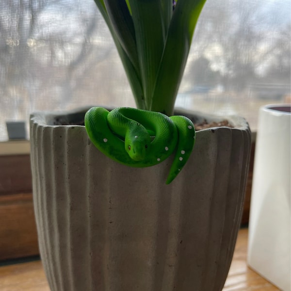 Emerald Tree Boa Pot Pal | Original Creator EST. 2020 - Etsy
