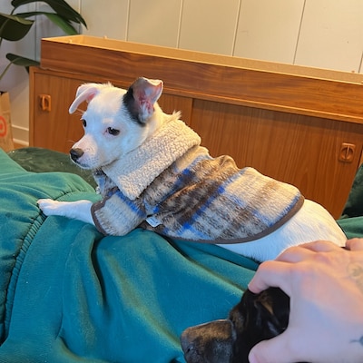 Knitted Muffler, S,L, Dog Cape, Pet Neckwear, Dog Neck Warmer, Pet ...