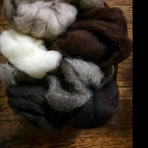 Navajo-churro Yarn - Etsy