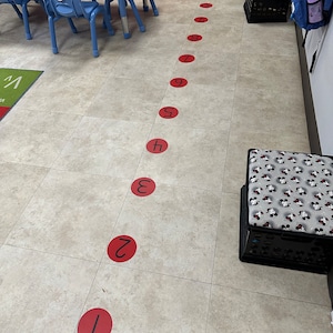 Classroom Line up Dots / Paw Prints / Classroom Decor / Floor Dot ...