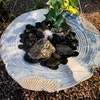 Golden Ray CALCITE & GALENA Crystal Raw Natural Mineral Collectible ...