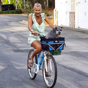 Bike Basket for Cat Cat Basket for Bike Wicker Basket Bike Accessory ...