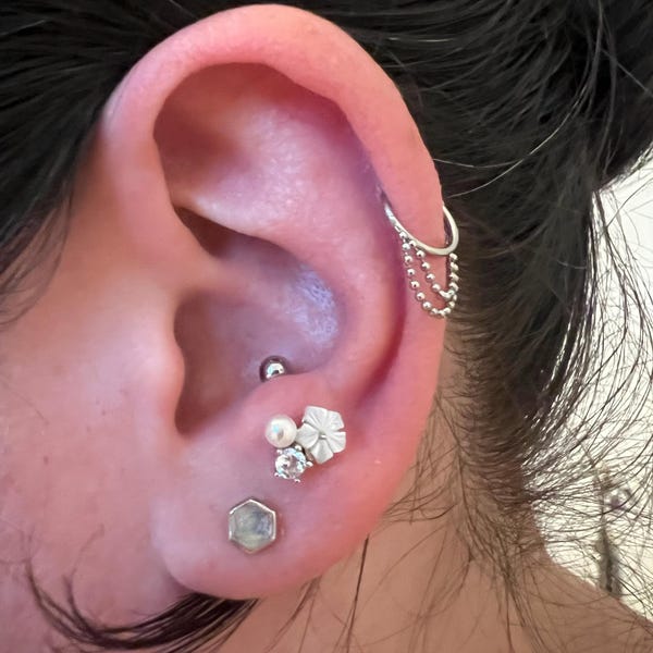 16G Little Vintage Bug Piercing #rook, Curved Barbell Cartilage ...