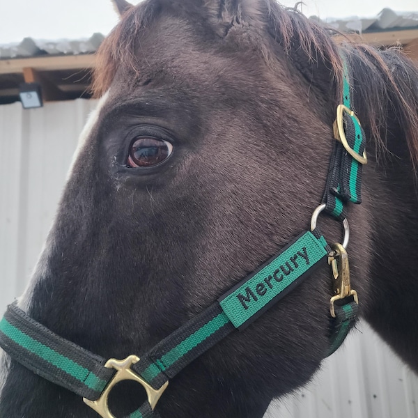 SMALL/MEDIUM Embroidered Halter Sleeves, Custom Horse Halter Name Tag ...