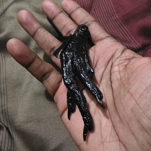 Root and Bone: A Hoodoo Spellbook, Digital Book Download, Hoodoo ...