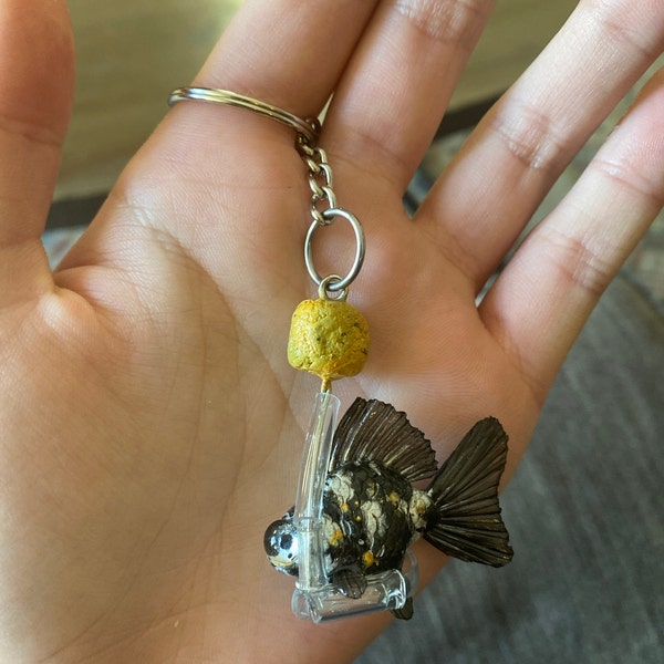 Fake Snail Aquarium - Etsy
