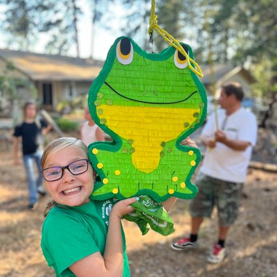 Frog Pinata. Party Decorations Supplies. Zoo Party - Etsy