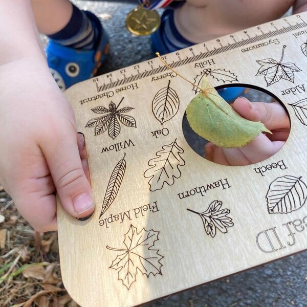 Portable Insect Bug Box Collection Box Parent-child Outdoor Forest ...