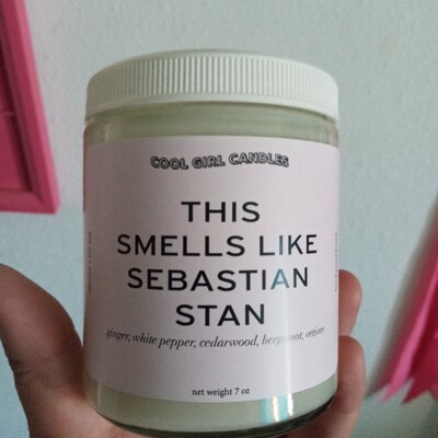 This Smells Like Sebastian Stan Candle Pop Culture Candles Celebrity ...