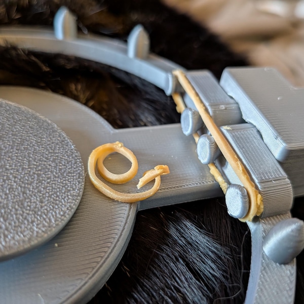 Desk Bear Trap - Etsy