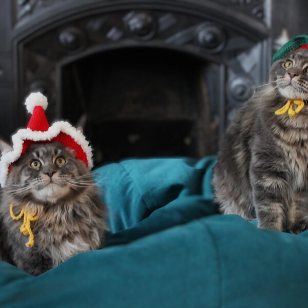 Whiskers Wonderland: Festive Christmas Pet Hat & Collar Set for Holiday ...