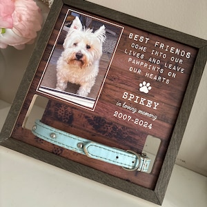 Memorial Pet Loss Frame Dog or Cat, Puppy Memorial Wood Frame With ...