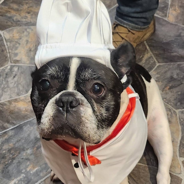 Halloween Chef Dog Cat Pet Costume, Kitchen Helper Assistant Costume ...