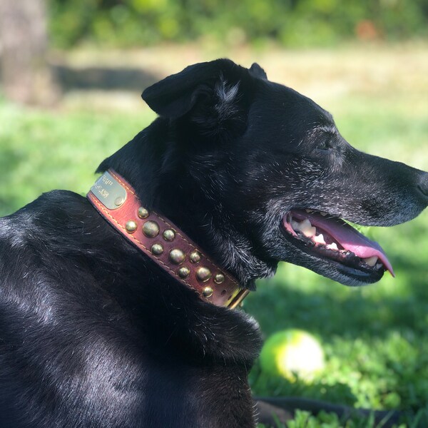 Double Ring Harness Leather Belt 1.5" Men’s/women’s Handcrafted Vintage ...