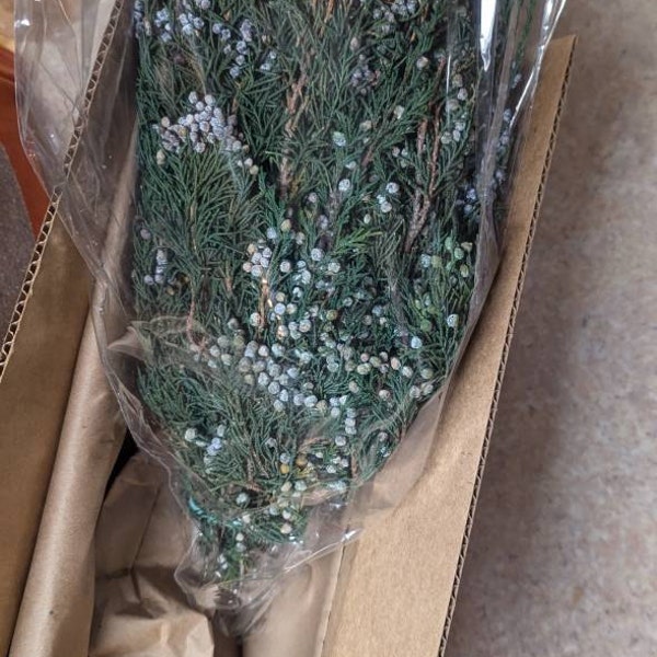 Fragrant Preserved Juniper Greenery: Winter Wreath Supplies - Etsy