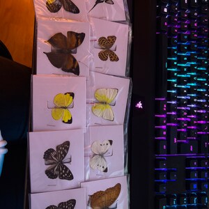 5-100PCS Real Butterfly Specimen Taxidermy Insect Butterflies Decor ...