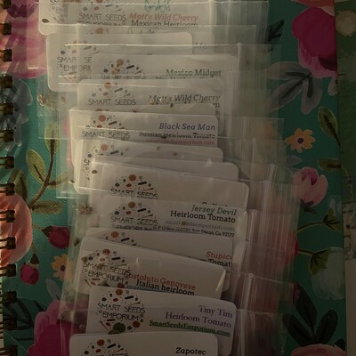 Tiny Tim Miniature Heirloom Tomato, 15 Seeds, Teeny Fruit, Patio Plant ...