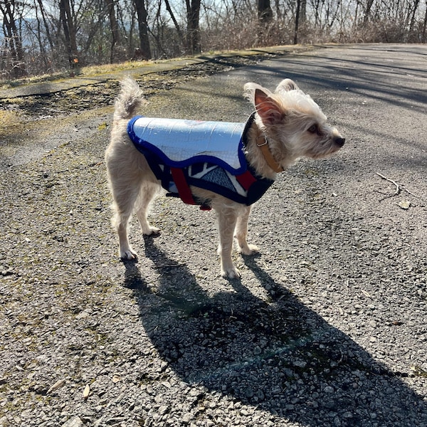 Red & Black Pendleton Wool Dog Coat - Featuring Exclusive D-ring ...