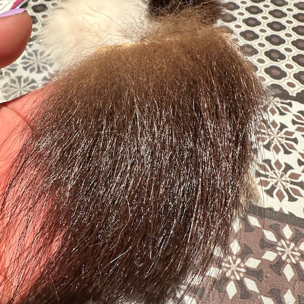 Fur Pieces - Pick Your Species - Exotics, African, North American and ...