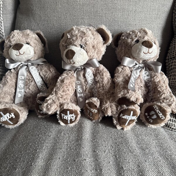 DEDICATION Teddy Bear, Personalized Dedication Stuffed Animal, Custom ...