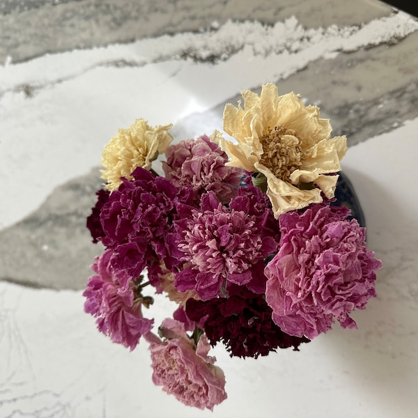 Dry Peony Blossoms, Whole Natural Flowers, Pink, White, Red, for Crafts ...