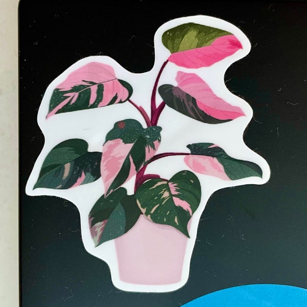 Rare Plant Sticker - Monstera Albo (monstera Deliciosa Variegated Plant ...
