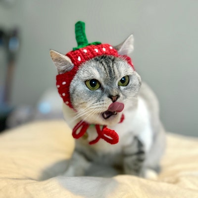 White Snowbell Flower Cat Hat Crochet Cat Hat Cat Costumes Cat - Etsy