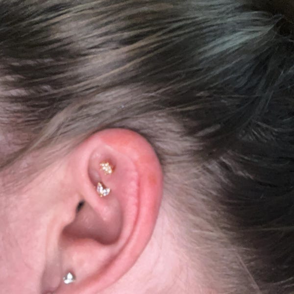 16G Skull Bird Septum Ring/hinged Segment Clicker/daith Earring ...