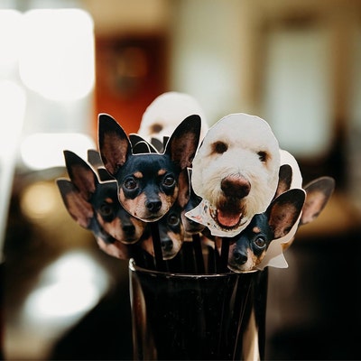 Drink Stirrers Personalized With Dog Face, Pet Birthday Stir Sticks ...