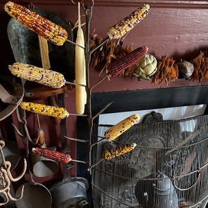 Mini Indian Corn, 4 to 5 Length, 5, 10, 20, 30, 40 and 50 Count, FREE ...