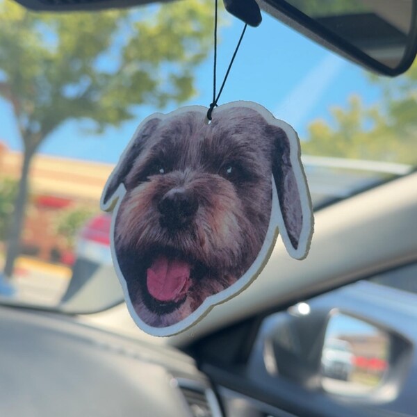 Funny Air Freshener - Flaming Eye Freshener - Cute Air Freshener - Cool ...